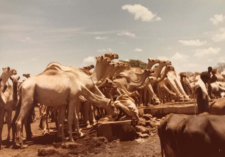 #10: Somalia 1980, Part 2 - NANCY SWING